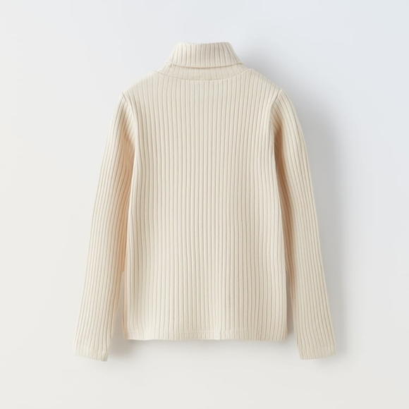 Zara | Shirts & Tops | Zara Ribbed Turtleneck | Poshmark